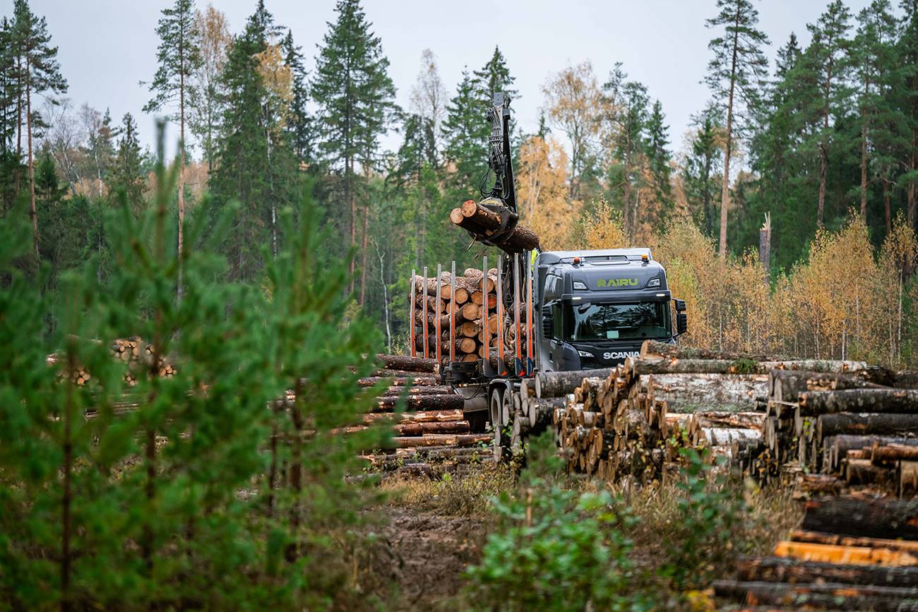 Mežsaimniecība – RAIRU